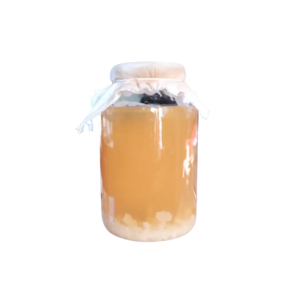 Tibicos para Kefir Agua - Frasco | Hortú INICIO